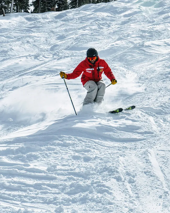 Moguls - technique and tactics - Gravity Protection